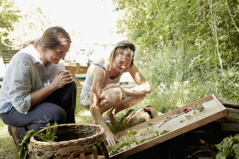 Comment faire un drainage sans tuyau